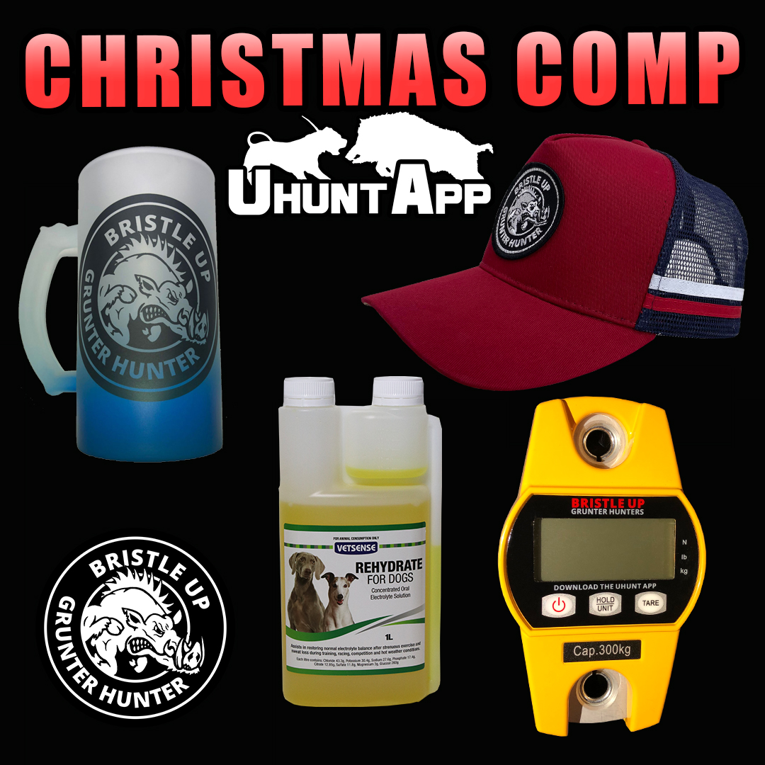 Competitions - Uhunt - comps