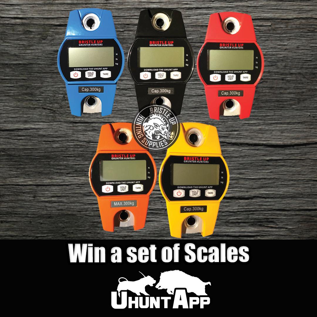 Competitions - Uhunt - comps