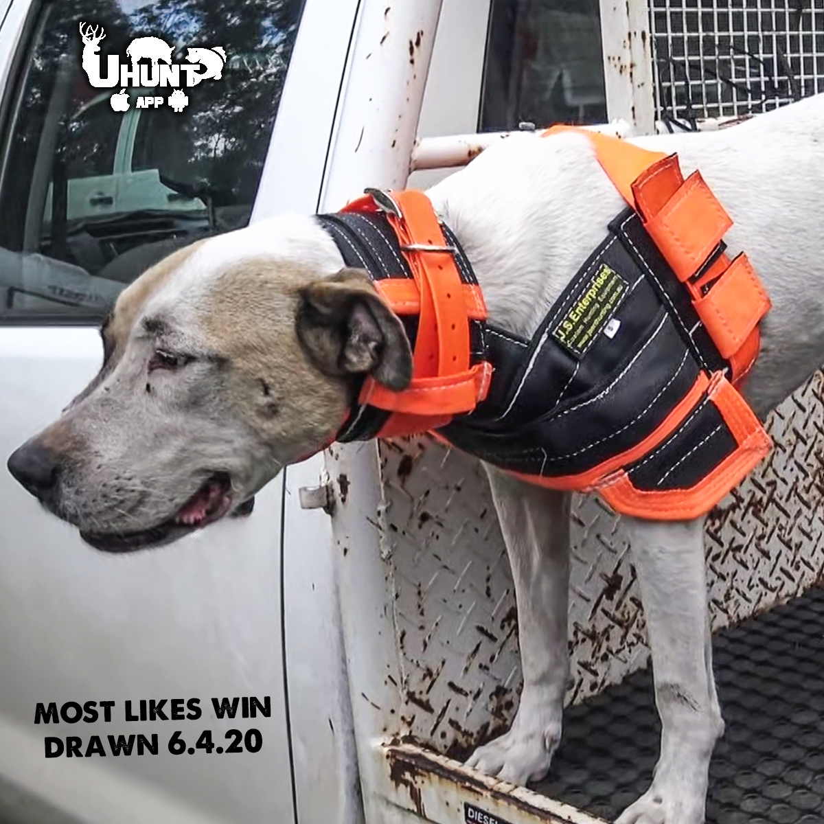 Competitions - Uhunt - comps