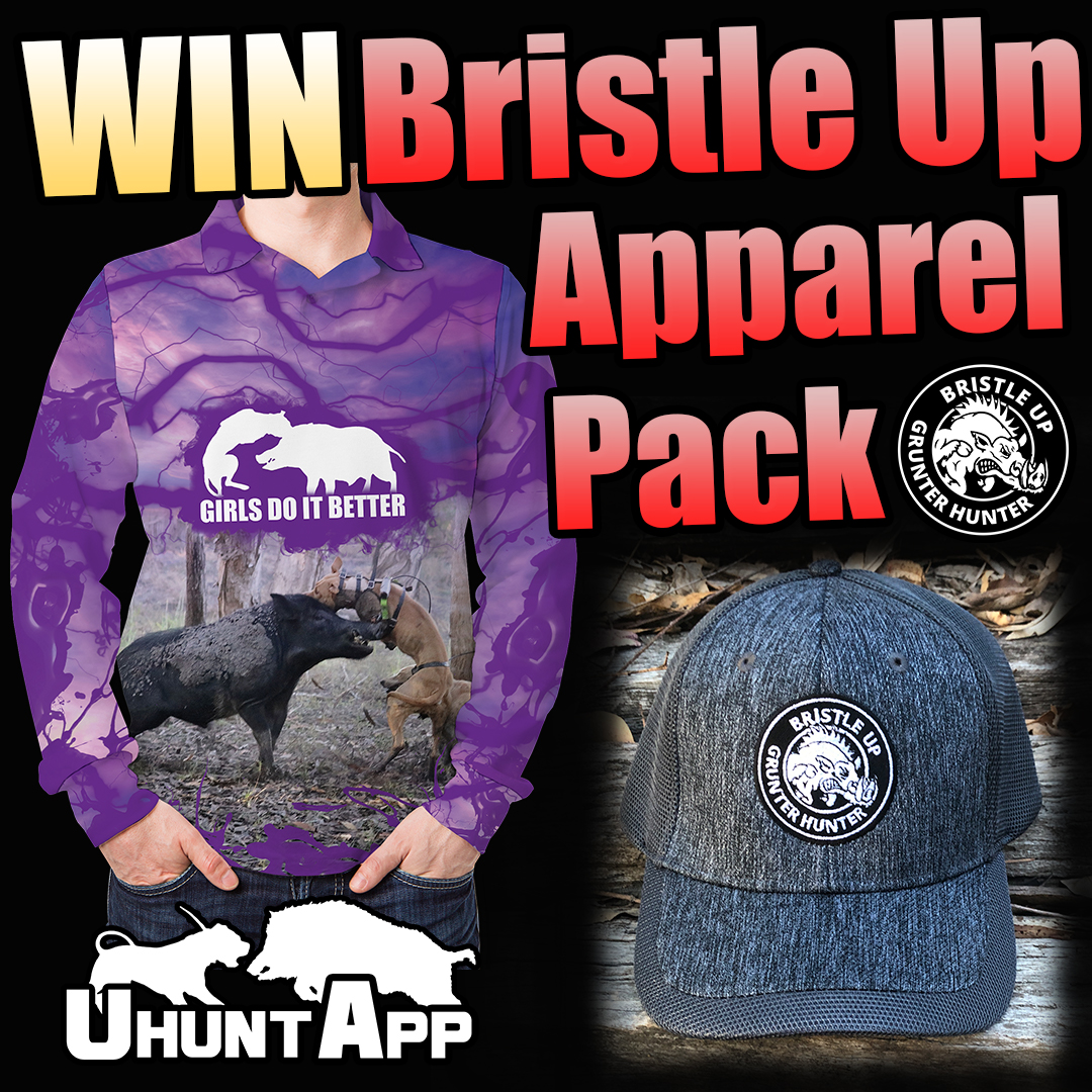 Competitions - Uhunt - comps