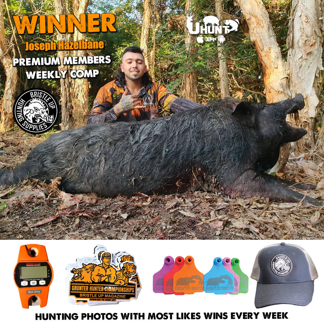 Competitions - Uhunt - comps