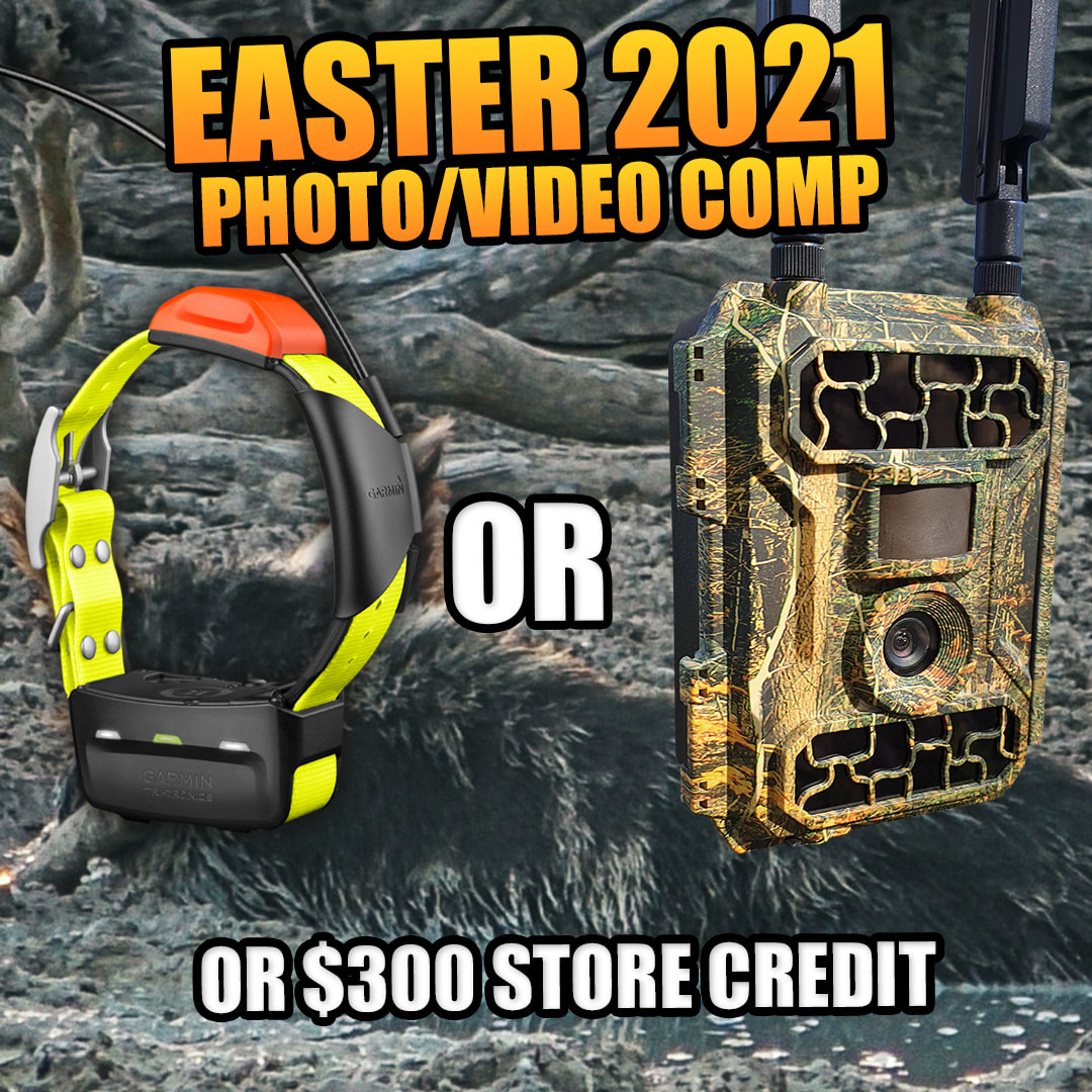 Competitions - Uhunt - comps